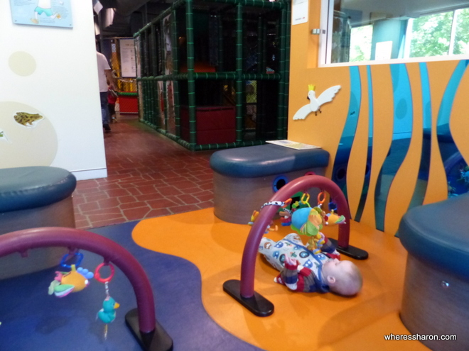 Top 20 Amazing Things to do in Canberra with Kids - Family Travel Blog ...